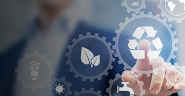 External verification - FEMSA