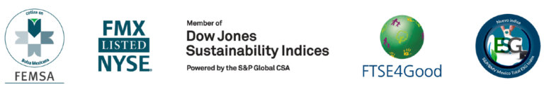 Quiénes Somos - FEMSA